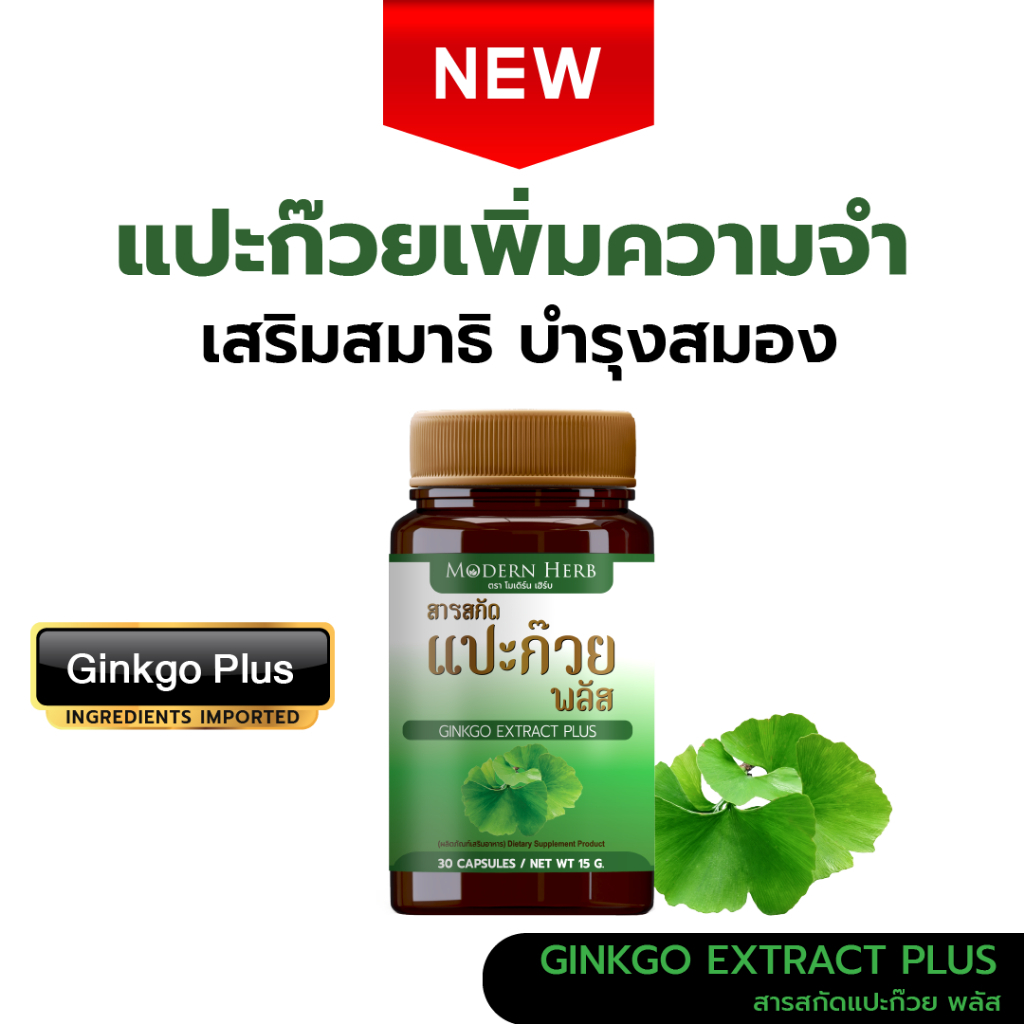 Ginkgo Extract Plus สารสกัดแปะก๊วย ตรา โมเดิร์น เฮิร์บ เพิ่มความจำ ...