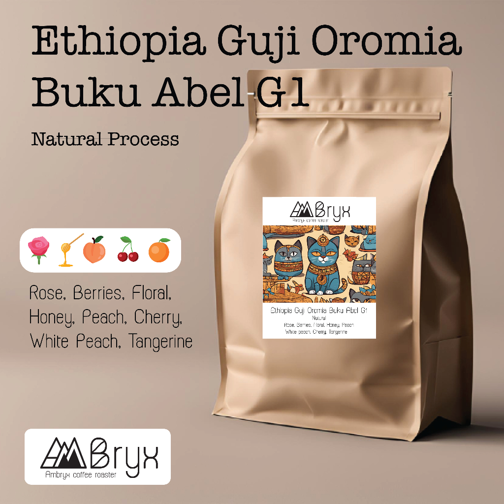 เมล็ดกาแฟ Ethiopia Guji Oromia buku abel G1 Natural เมล็ดกาแฟคั่ว ไม่บด | Shopee Thailand