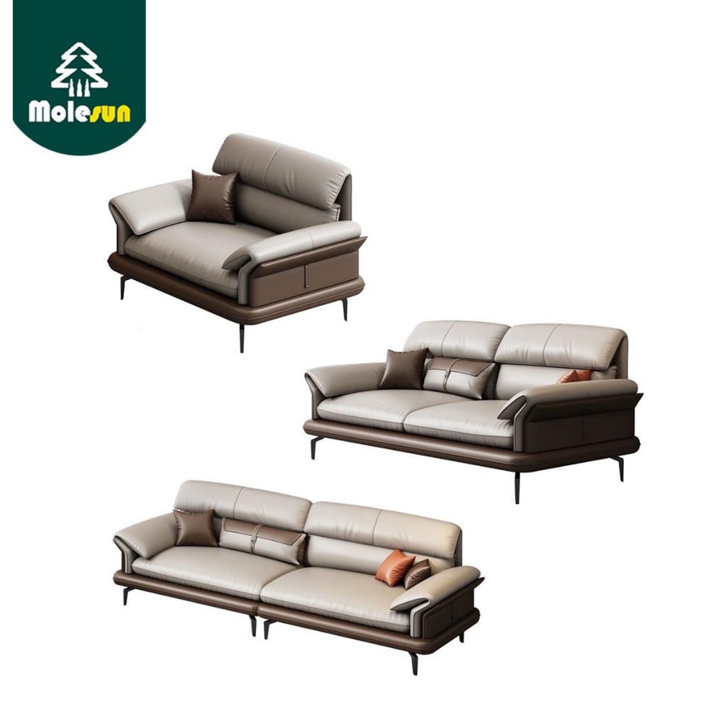 MOLESUN โซฟาสไตล์ทันสมัย สวยงาม แข็งแรง | Shopee Thailand
