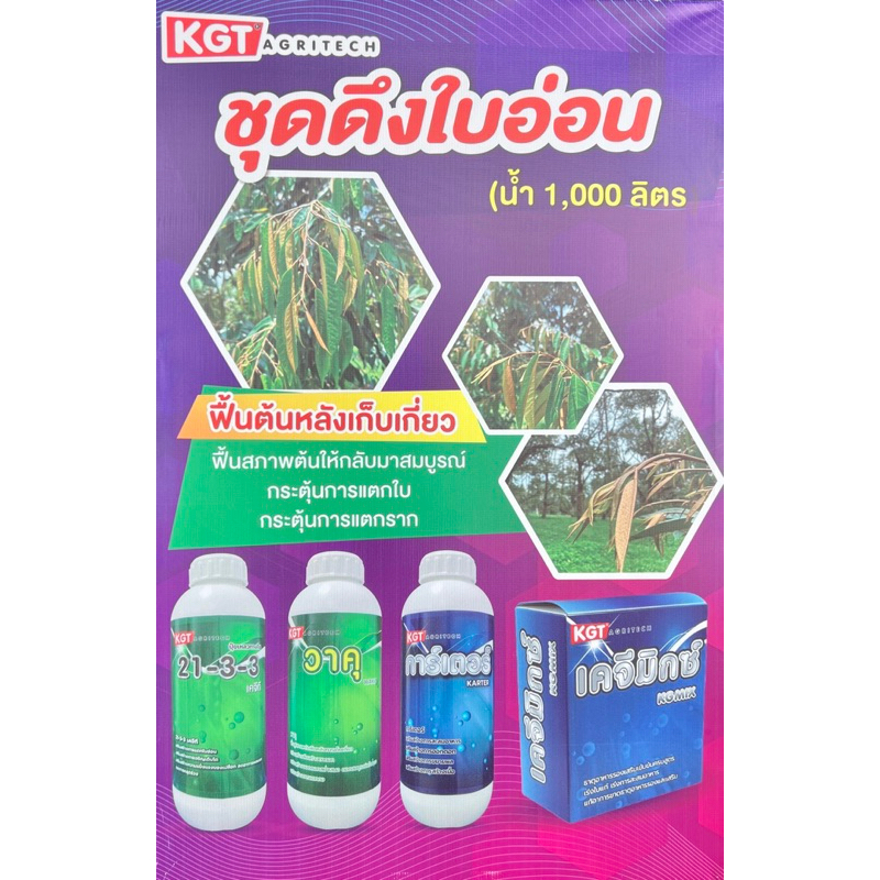 KGT เคจีที ชุดดึงใบอ่อน ฟื้นต้นหลังเก็บเกี่ยว กระตุ้นการแตกใบ กระตุ้น ...