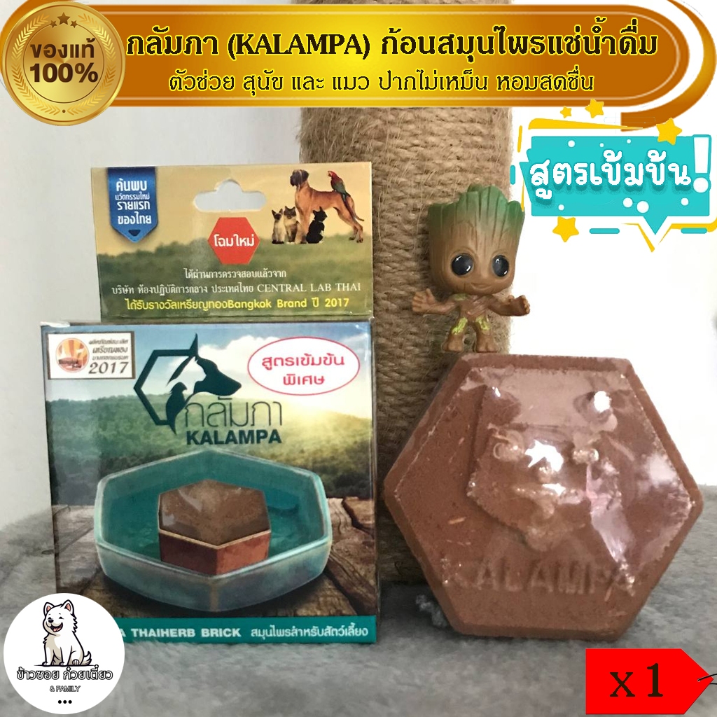 กลัมภา (KALAMPA) สูตรเข้มข้น ก้อนสมุนไพรแช่น้ำดื่มสำหรับสุนัข และ แมว ...