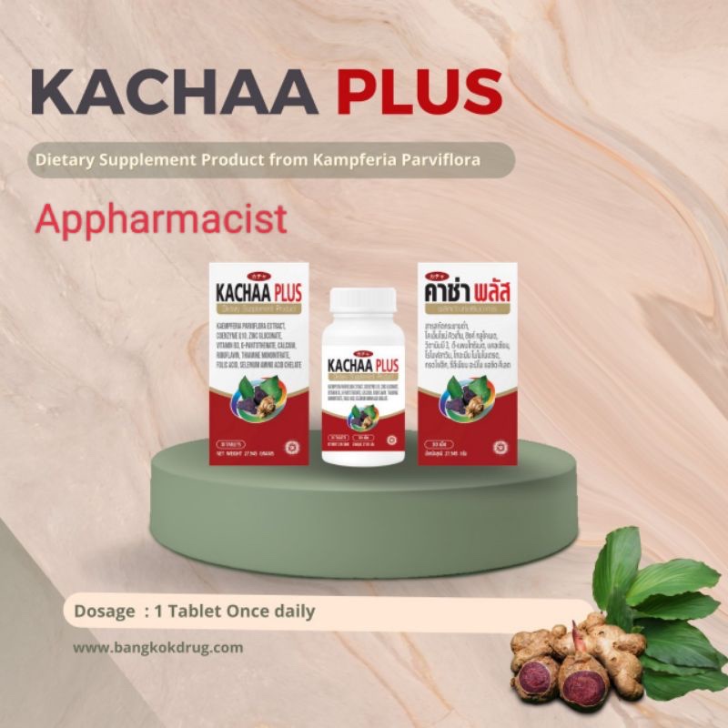 Kachaa-Nito กระชายดำ, Kachaa Plus แบบแผง 6แผงx10เม็ด/กล่อง | Shopee ...