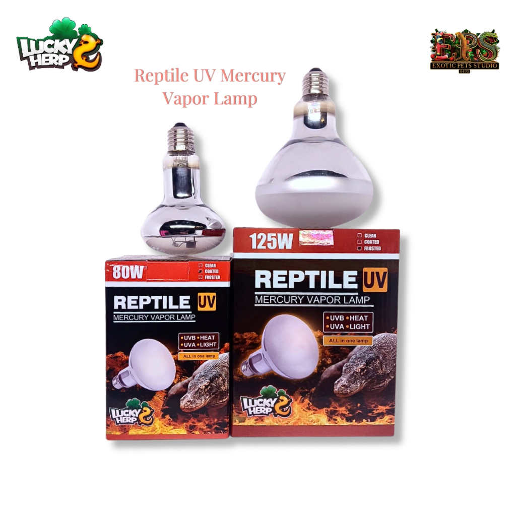 Lucky Herp Reptile UV Mercury Vapor Lamp หลอดรวมยูวีและความร้อน ( 80w / 125w ) | Shopee Thailand