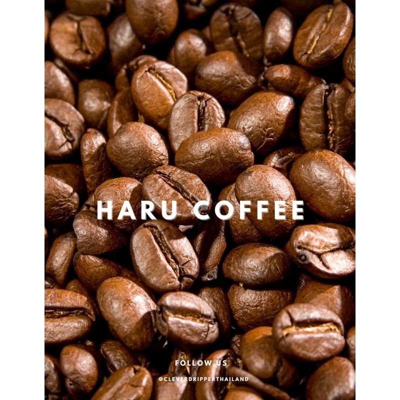 เมล็ดกาแฟคั่ว Haru coffee เกรด AA Private collection Jaramillo Geisha Washed process | Shopee ...