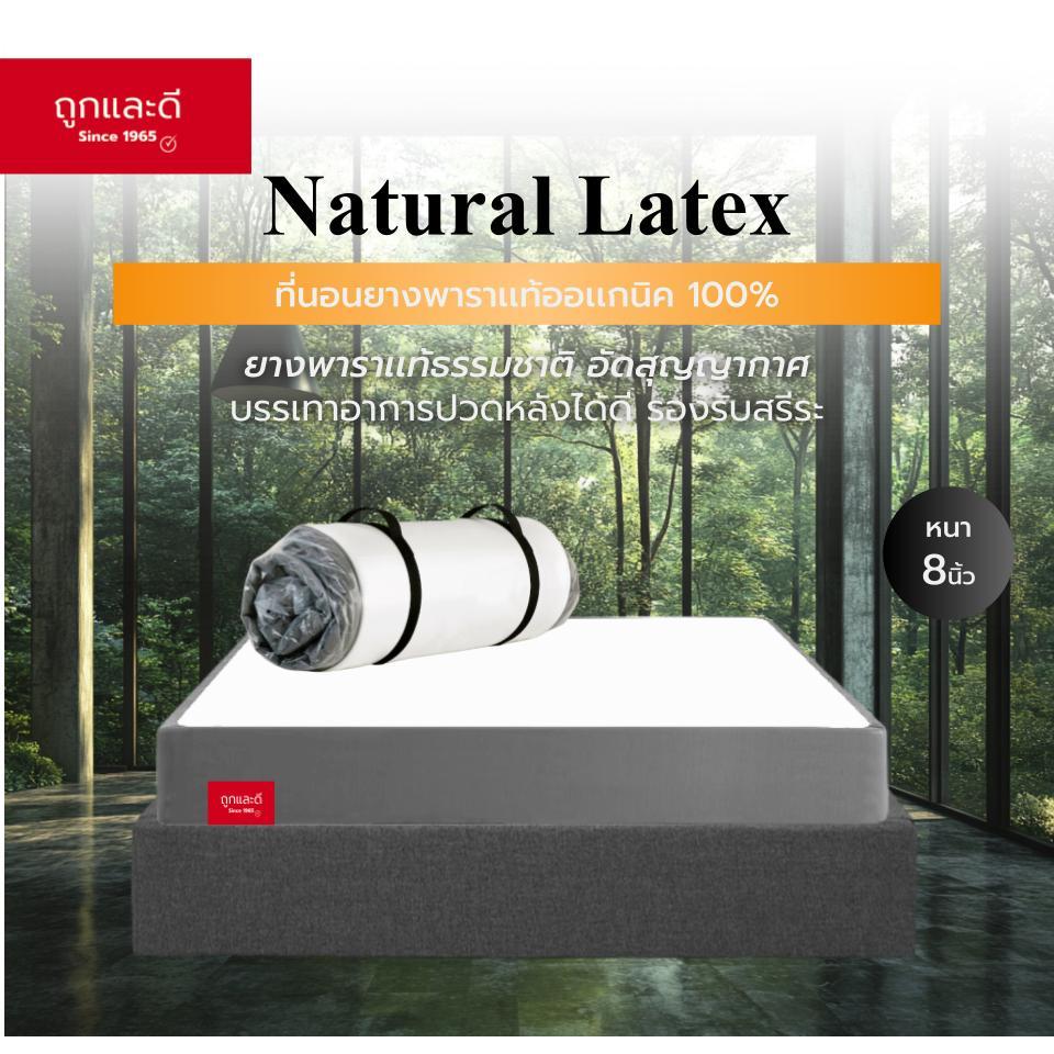 [รับประกัน 10 ปี] Took Lae Dee ที่นอนยางพาราแท้ รุ่น Natural Latex ความหนา 8 นิ้ว [อัดสุญญากาศ ...