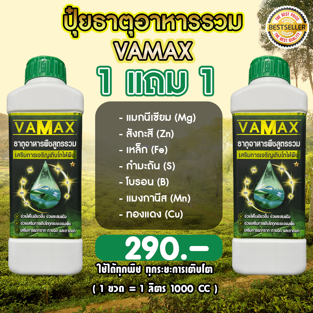 VAMAX (1แถม1) ปุ๋ยธาตุอาหารรวม เร่งการเจริญเติบโตพืชทุกชนิด ใบเขียว แตก ...