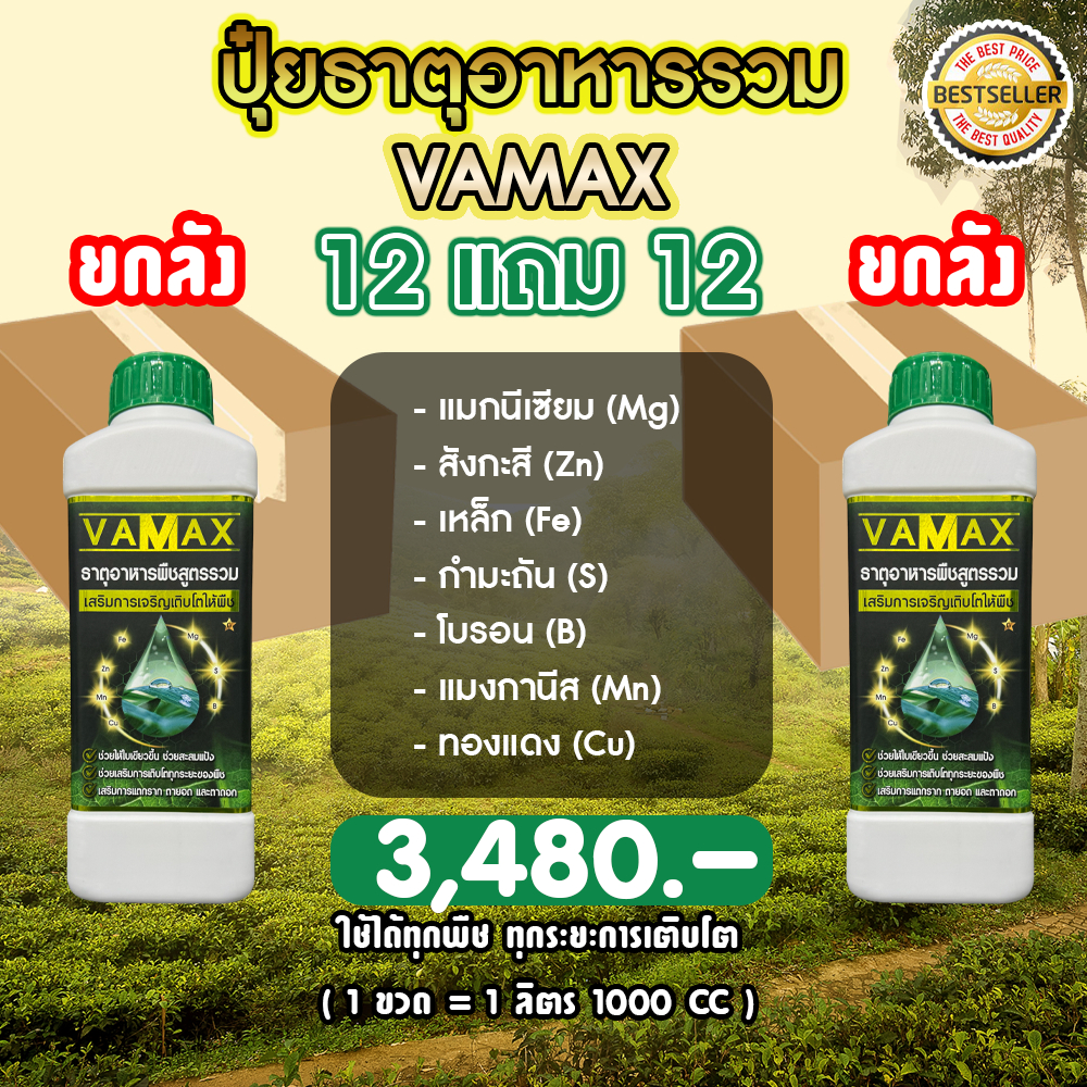 VAMAX (12แถม12) ปุ๋ยธาตุอาหารรวม เร่งการเจริญเติบโตของพืชทุกชนิด ใบ ...