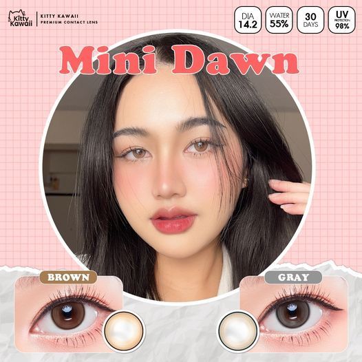 🔥คอนแทคเลนส์ 💗ขนาดมินิ💗 Mini Dawn (kittykawaii) สี : Brown / Gray ...