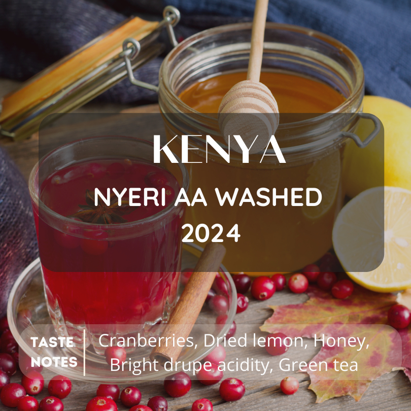 สารกาแฟ Kenya Nyeri AA washed process 2024 | Shopee Thailand
