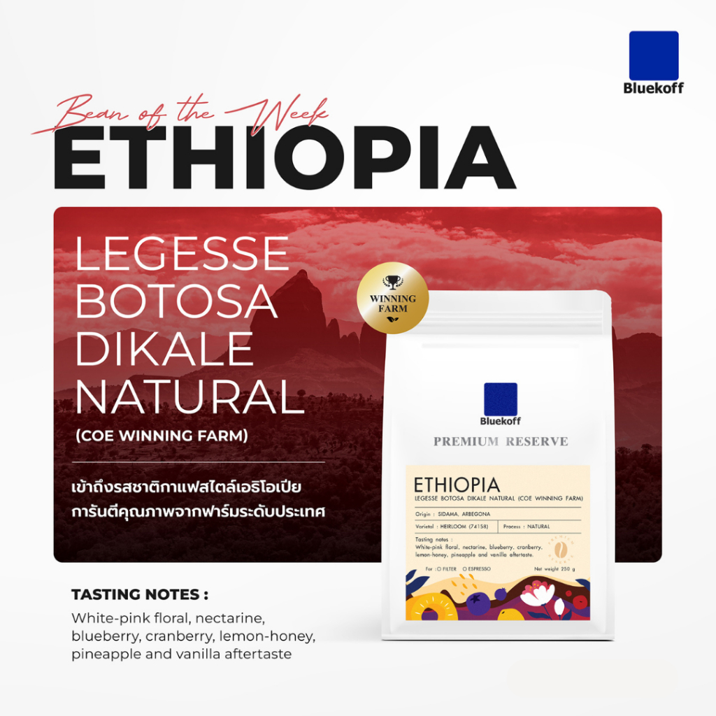 Bluekoff เมล็ดกาแฟคั่ว Ethiopia Legesse Botosa Dikale Natural (COE ...