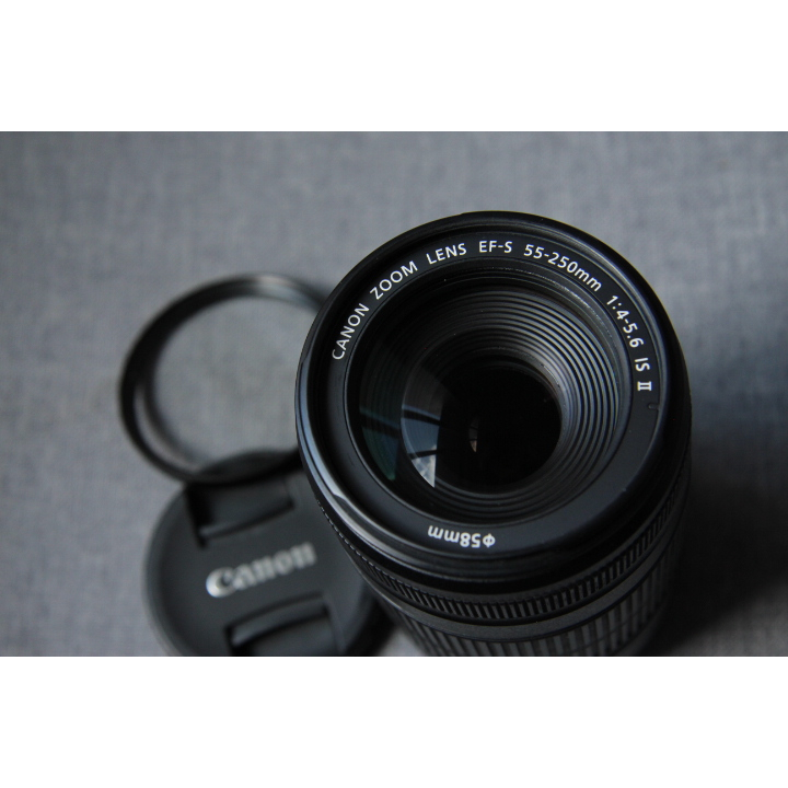 CANON EF 55-250 mm. F 4-5.6 ll ls เลนส์ซูมกำลังขยาย ภาพคมสวย ซูมไกล สภาพ 95% รับประกันเลนส์ 7 ...
