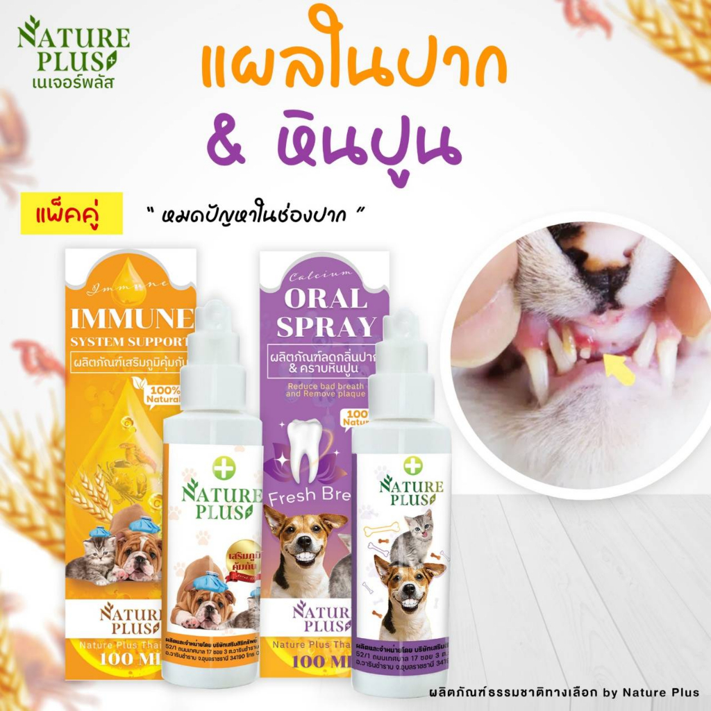 แพ็คคู่ หมดปัญหาแผลในช่องปากและคราบหินปูน ด้วย ผลิตภัณฑ์สีส้ม(รักษาแผลในปาก)และสีม่วง(ลดคราบ ...