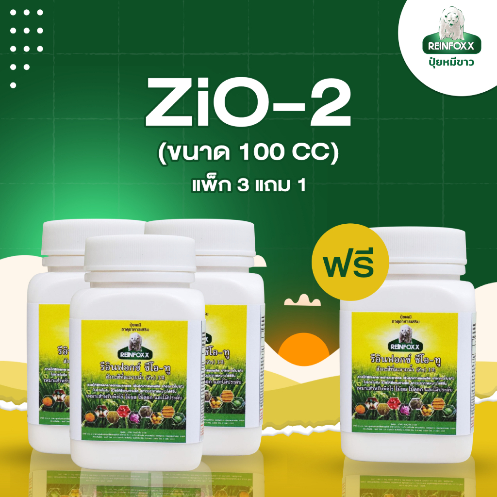 ปุ๋ยหมีขาวรีอินฟอกซ์ รุ่น ZiO-2 (100 cc) (แพ็ก 3 แถม 1) (Zinc ซิงค์ สังกะสีพืช) | Shopee Thailand