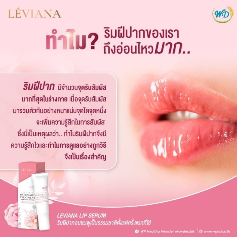Leviana Lip Serum แก้ริมฝีปากแห้งแตกขุย แก้ปากดำปากคล้ำ | Shopee Thailand