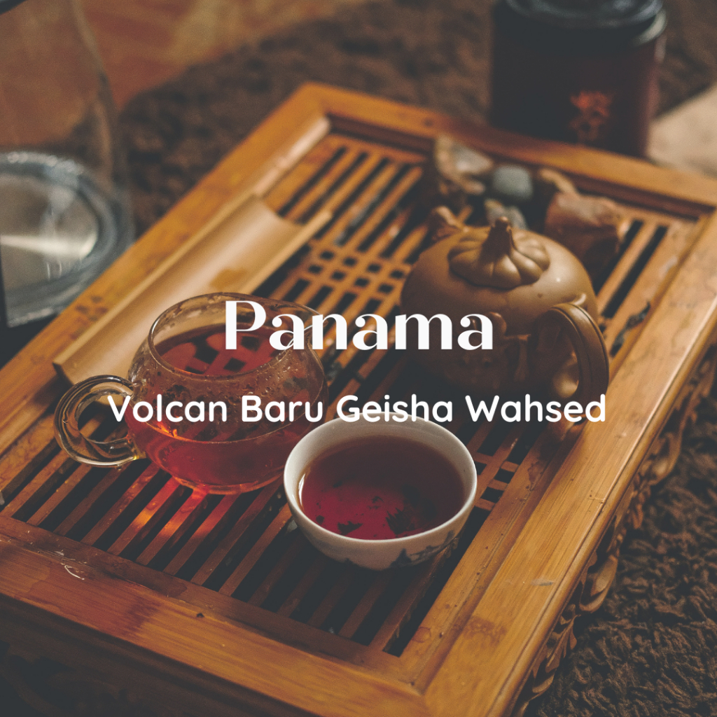 สารเมล็ดกาแฟ Panama Volcan Baru Geisha Washed | Shopee Thailand