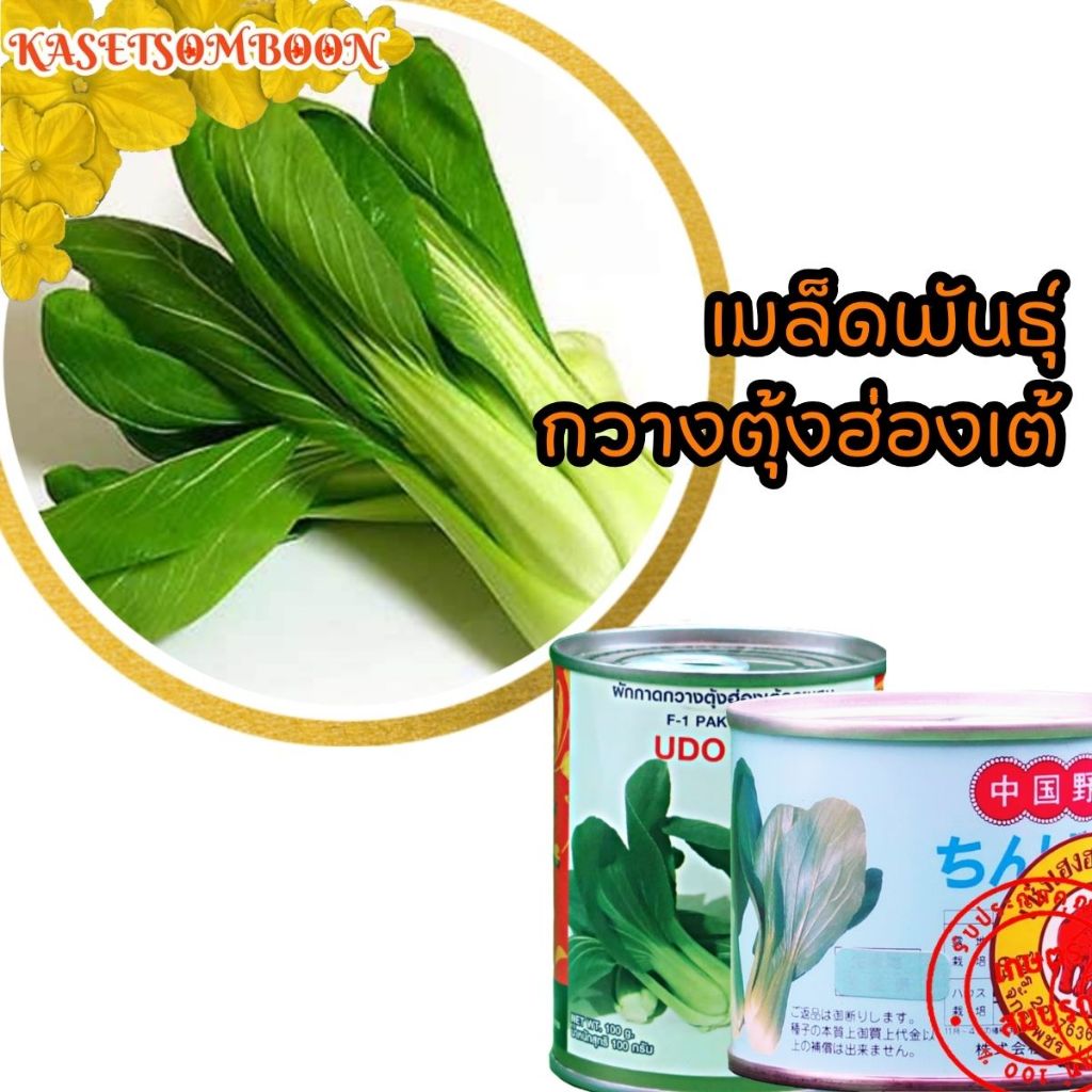 กวางตุ้งฮ่องเต้ F1 เมล็ดพันธุ์ผักกาด กวางตุ้งไต้หวัน wase kakyo 100 ก.ตราช้าง | Shopee Thailand