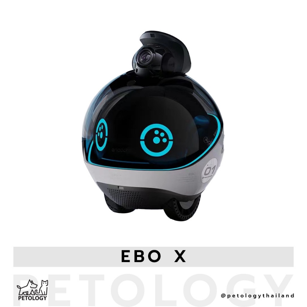 Petology - EBO X Family Companion Robot | Shopee Thailand