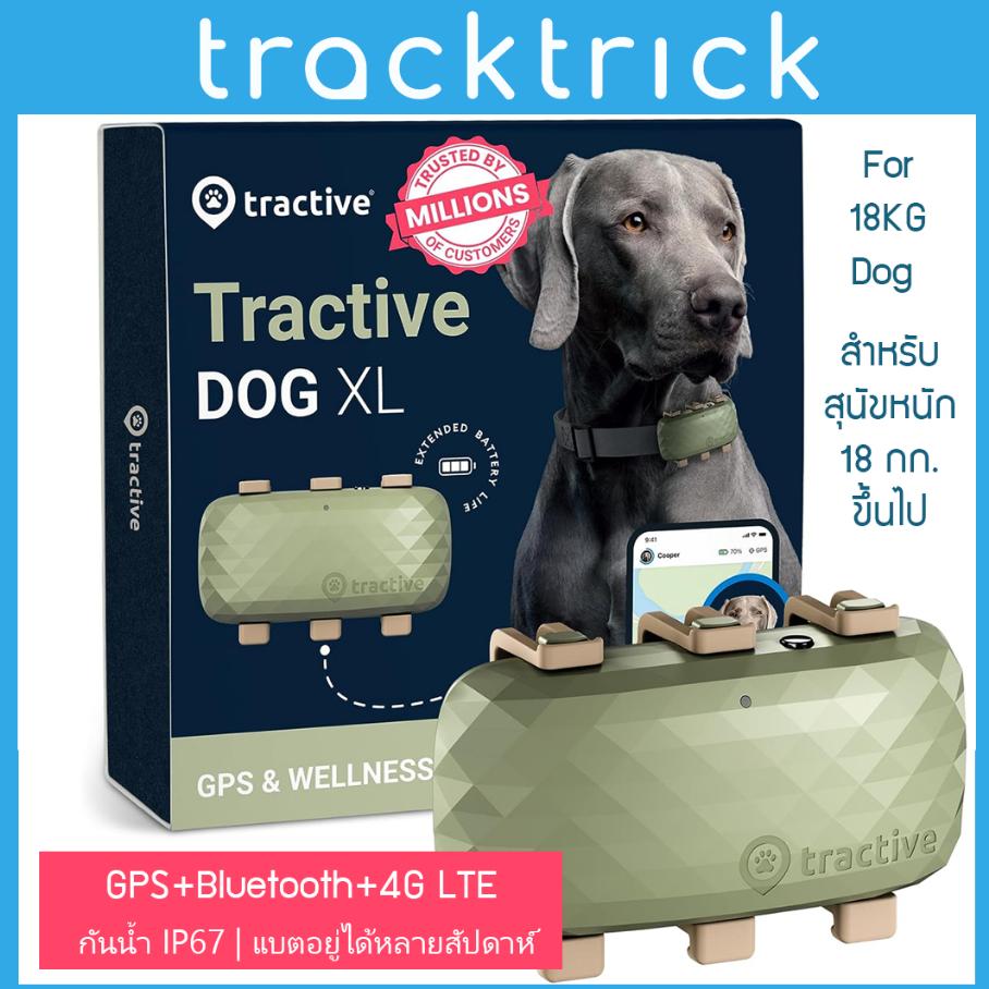 Tractive DOG XL - GPS Dog Tracker ปลอกคอ GPS ไม่จำกัดระยะ สำหรับสุนัข ...