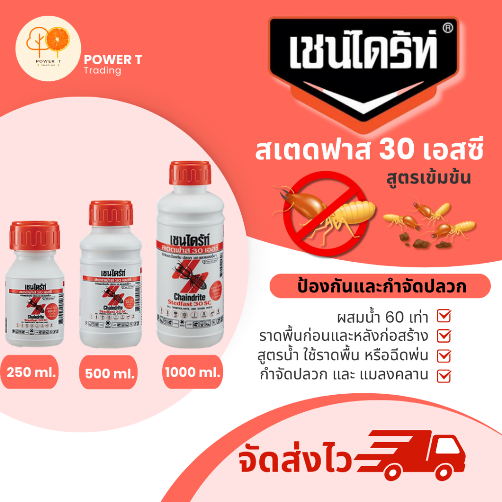 Chaindrite เชนไดร้ท์ สเตดฟาส 30 เอสซี น้ำยากำจัดปลวก แบบเข้มข้น ผสมน้ำ ...