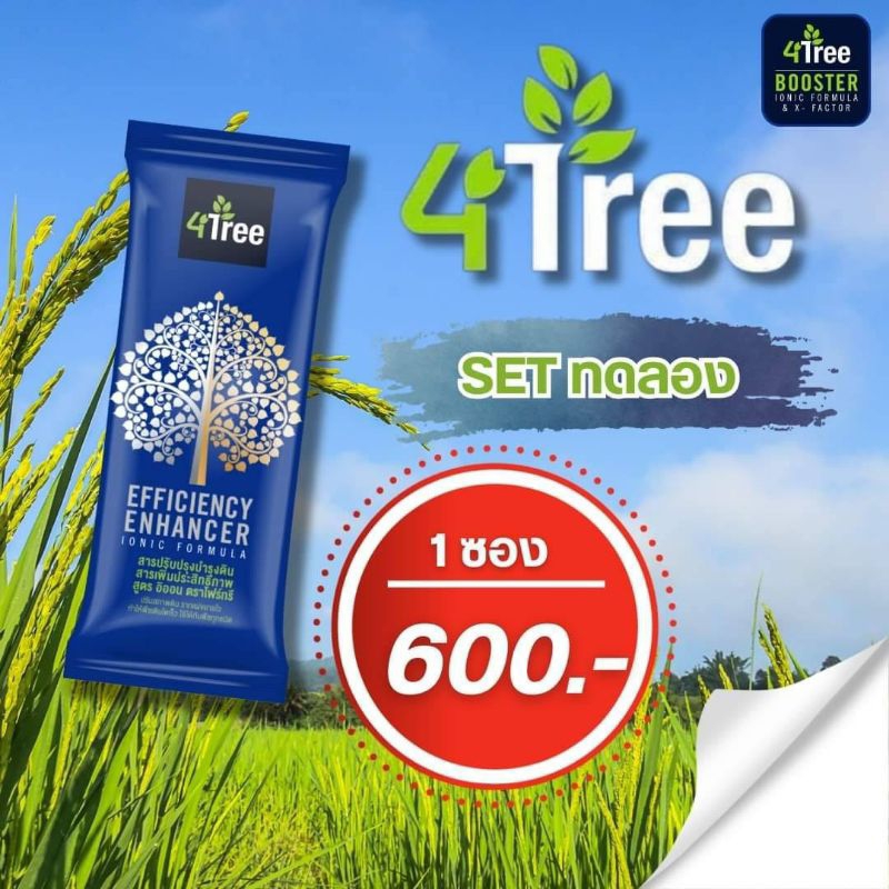 4Tree สารเพิ่มประสิทธิภาพเพิ่ม เร่งการเจริญเติบโต เร่งดอก เร่งผล ต้านทานโรคและแมลง เป็น ...
