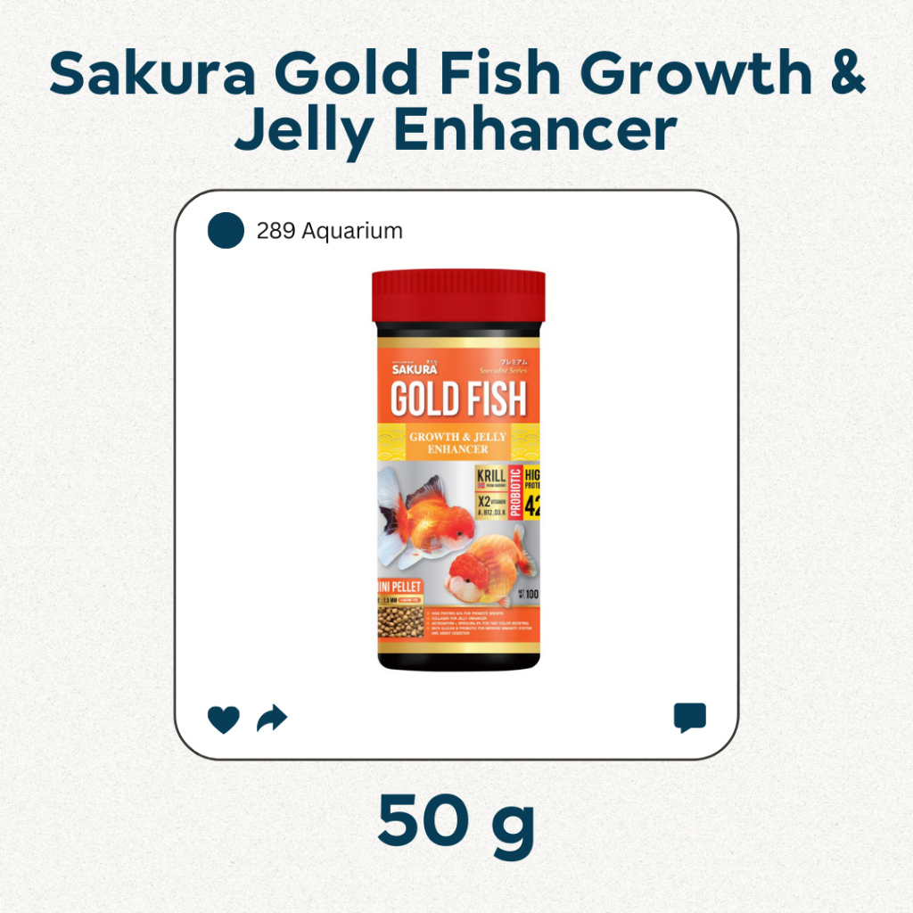 Sakura Gold Fish Growth & Jelly Enhancer อาหารปลาทองสูตร เร่งโต เร่ง ...