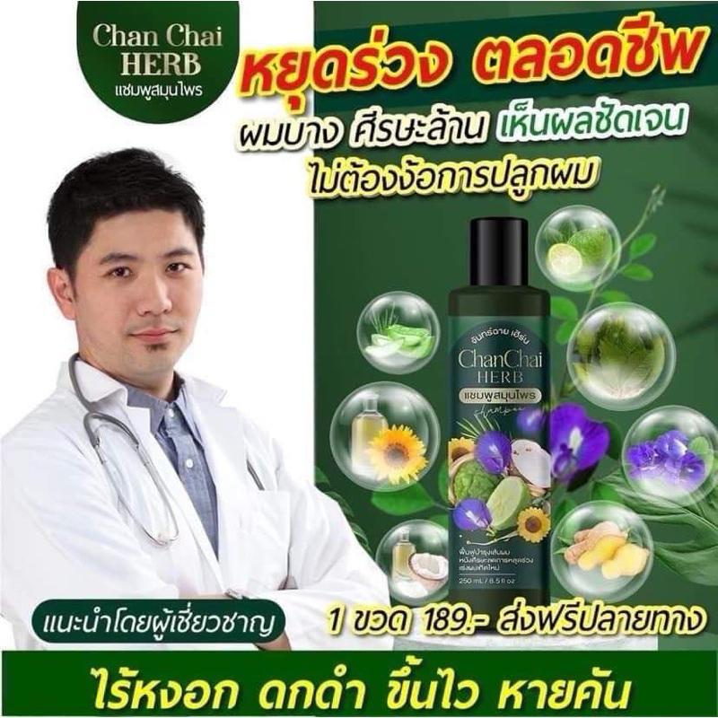 แชมพูจันทร์ฉาย เฮิร์บ Chan Chai Herb สมุนไพร 8 ชนิดเข้มข้นของแท้100%จากบริษัท หยุดร่วง หยุดหงอก ...