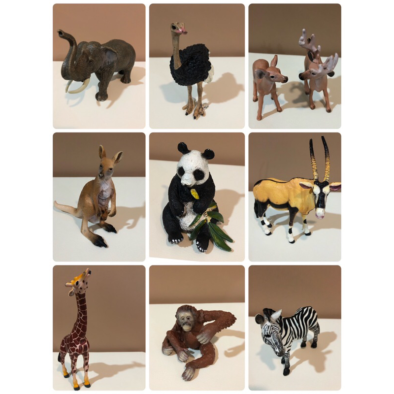 safari Model พร้อมส่ง สำหรับเด็ก | Shopee Thailand