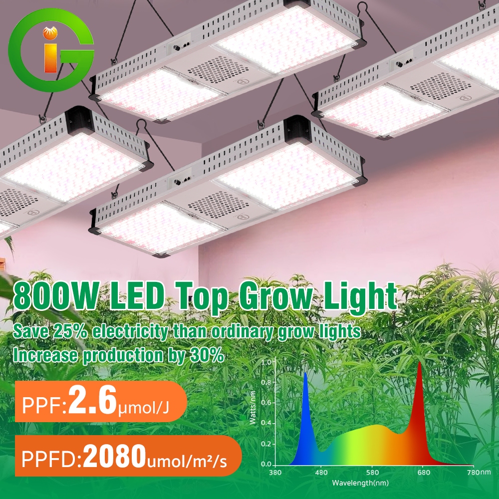 HPS ไฟปลูกต้นไม้ 8000W GROW LIGHT Top supplement lamp สำหรับปลูกพืชใน ...