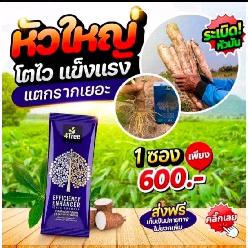 ของแท้ 4Tree โฟร์ ทรี 1 ซองการเจริญเติบโตพืช 4t โฟที โฟรทรี ปุ๋ยทางใบ สารเพิ่มประสิทธิภาพ ...