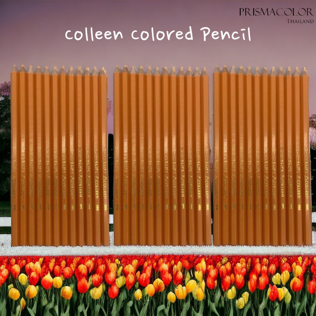 ดินสอสีไม้ Colleen สีครีม รหัส 408 จำนวน 36 แท่ง | Shopee Thailand
