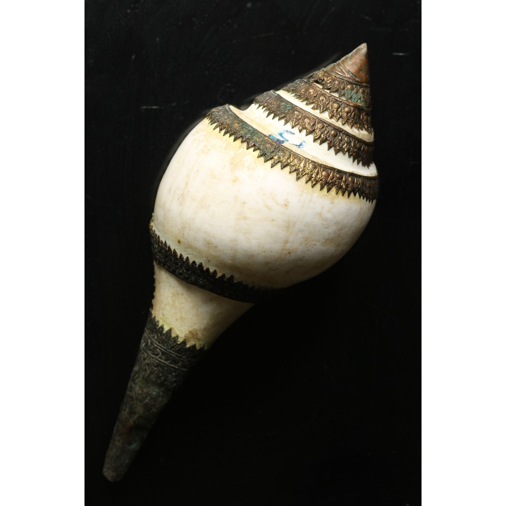 หอยสังข์มงคลลายดอกไม้ (Conch Shell Decorated With Floral Design) ขนาด ...