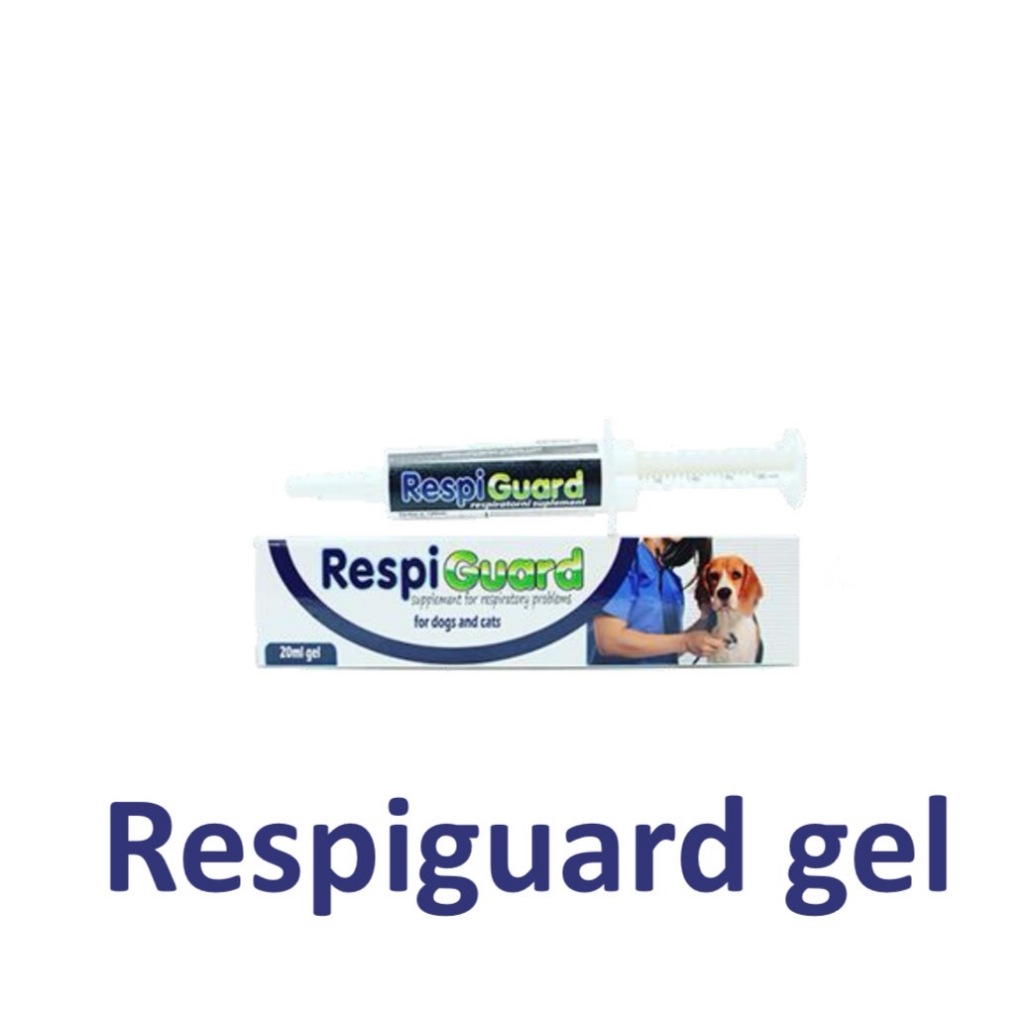 Respiguard gel 20ml อาหารเสริมแบบเจลบำรุงทางเดินหายใจ กระตุ้น ...
