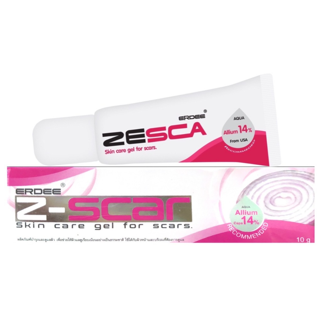 ERDEE Z-SCAR GEL เออดี ซีสกาเจล 10g | Shopee Thailand