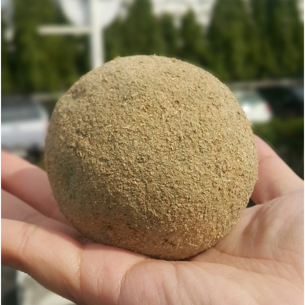 em ball ชุดละ 5 ลูกสินค้าพร้อมจัดส่ง(ลูกคัดพิเศษ) | Shopee Thailand