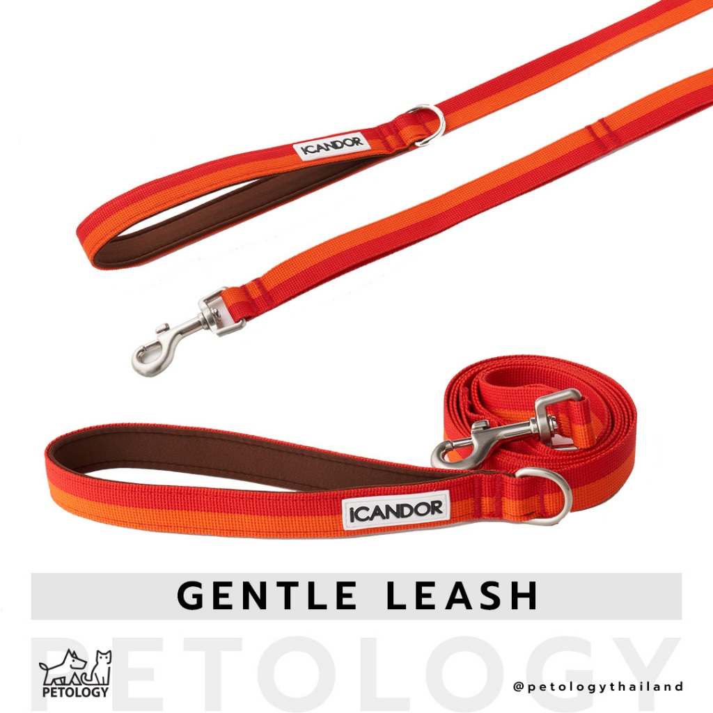 Petology - iCandor รุ่น Gentle Leash & Bolt | Shopee Thailand