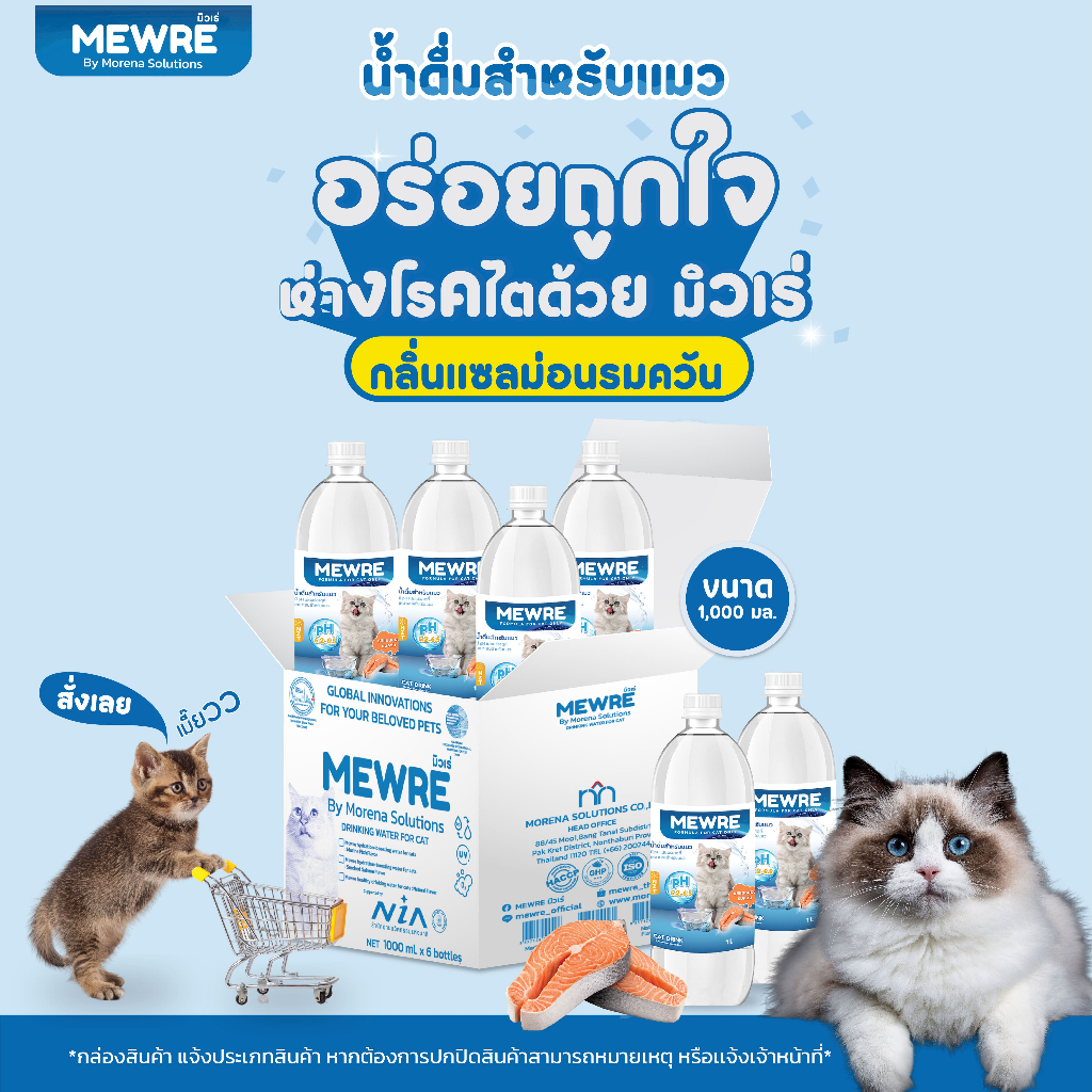 Mewre มิวเร่ •เซ็ตสุดคุ้ม 6 ขวด น้ำดื่มสำหรับแมว น้ำแมว กลิ่นแซลม่อนรมควัน ขนาด 1000ml. (S1000x ...