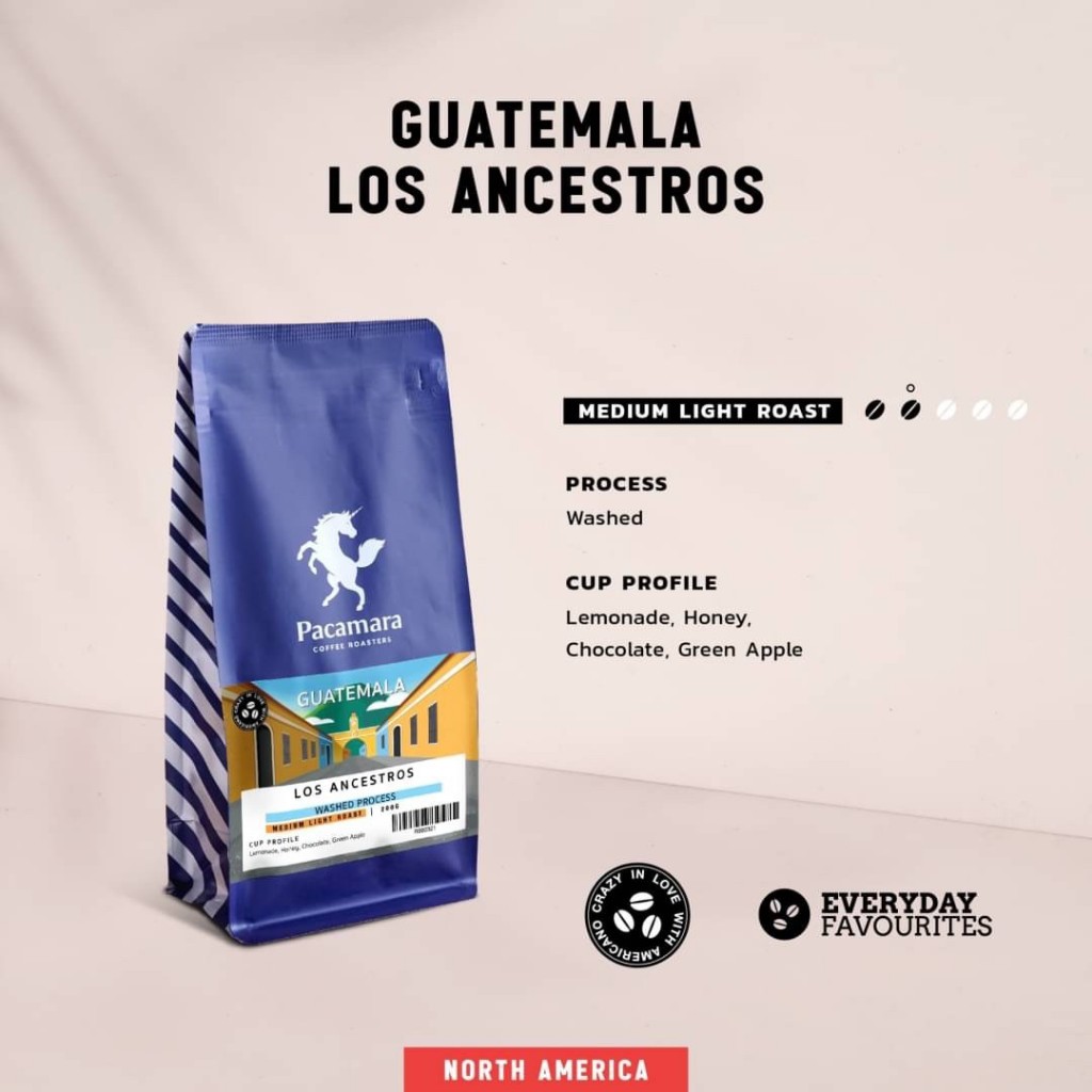 Pacamara Guatemala Los Ancestors Washed 200g | Shopee Thailand