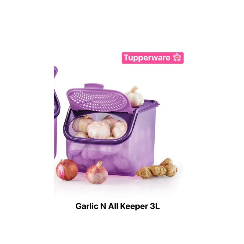 กล่องเก็บกระเทียม หอมแดง Tupperware รุ่น Garlic N All Keeper สีม่วง มี2 ...