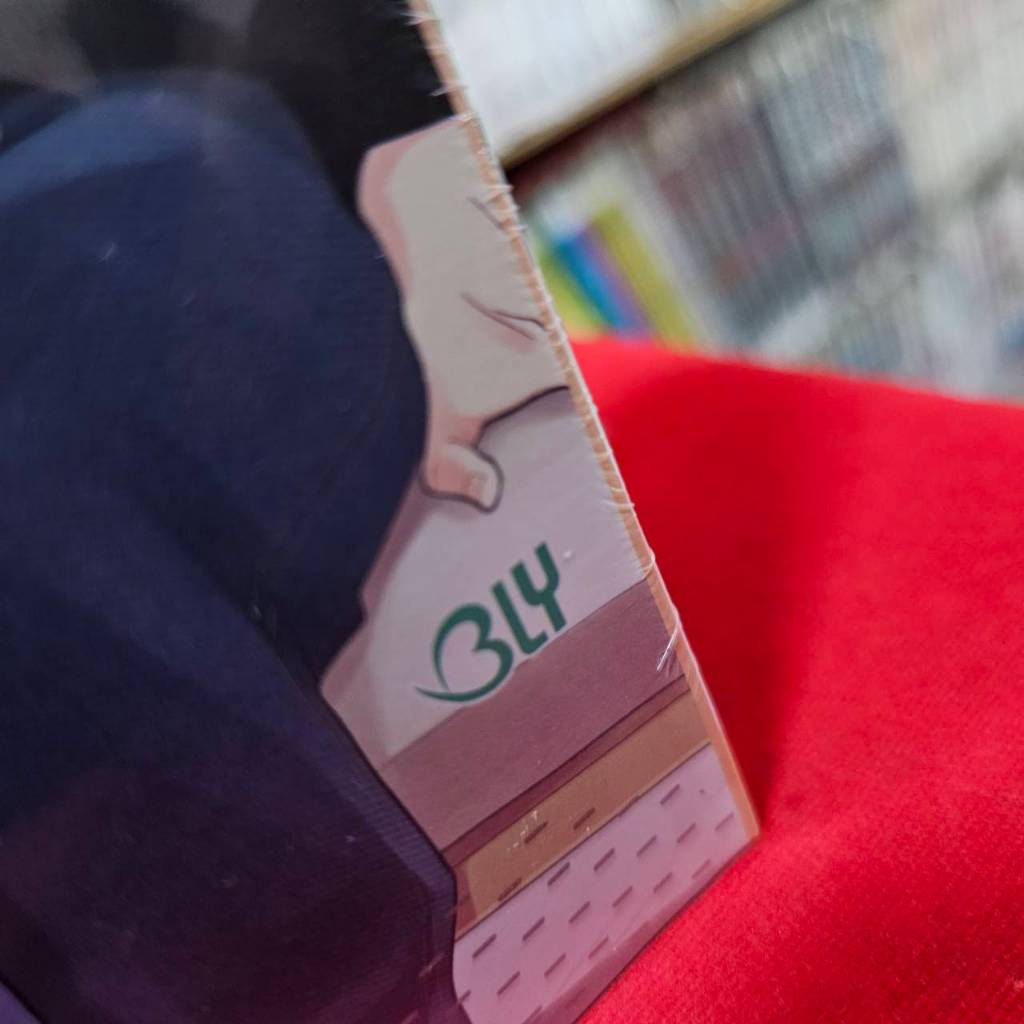 รักธรรมดาที่ไม่ธรรมดา เล่มเดียวจบ การ์ตูนวาย หนังสือการ์ตูนวาย BL มังงะ มือหนึ่ง BLY | Shopee ...