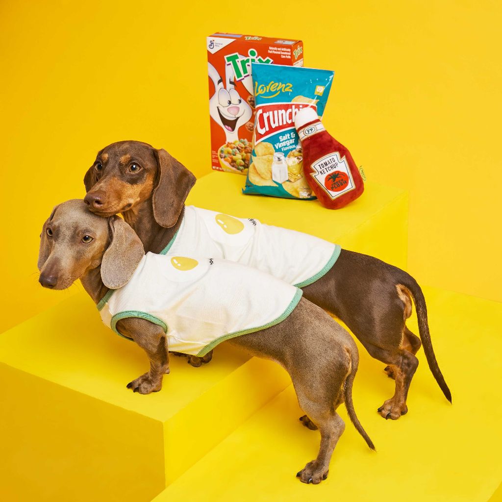 Midnight Layer – All Day Brunch Collection - เสื้อผ้าสัตว์เลี้ยง (Sunny Egg) | Shopee Thailand