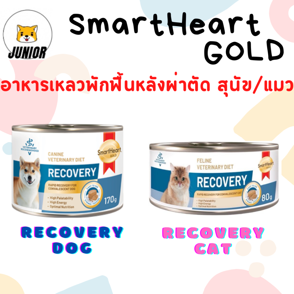 Smart heart gold Recovery อาหารเปียกสุนัข 170ก แมว80ก สำหรับสัตว์ป่วย ...