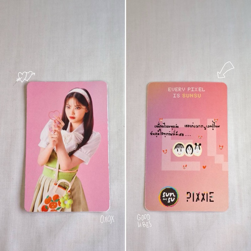 การ์ดซันซุวงพิกซี่ (sunsu x pixxie) | Shopee Thailand