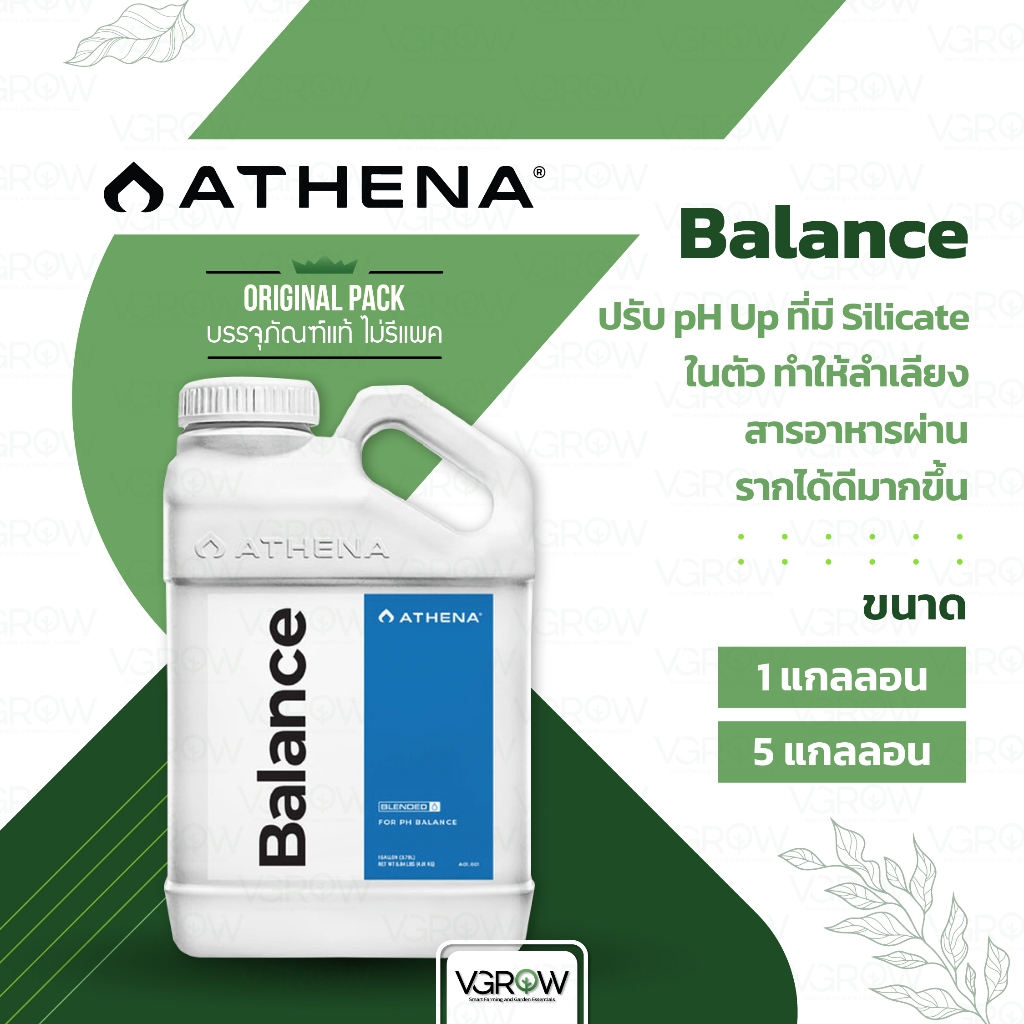 [ส่งฟรี] Athena Balance ปรับ pH Up ที่มี Silicate ทำให้ลำเลียงสารอาหาร ...