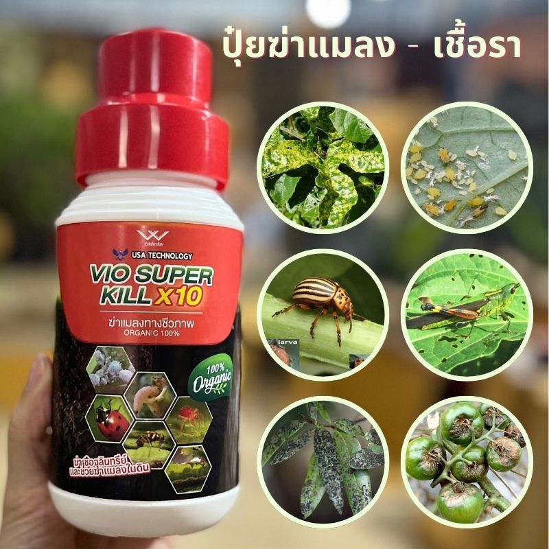 ปุ๋ย Vio Super Kill X10 ปุ๋ยชีวภาพฆ่าแมลงและศัตรูพืชที่มีประสิทธิภาพถึง ...