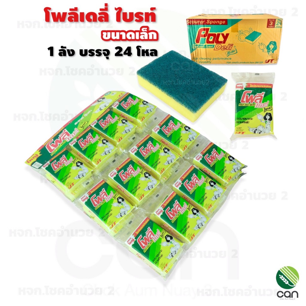 (1 ลังแถม 1 แผง *เฉพาะรุ่นใหญ่*) ฟองน้ำล้างจาน โพลี เดลี่ ไบรท์ Poly ...
