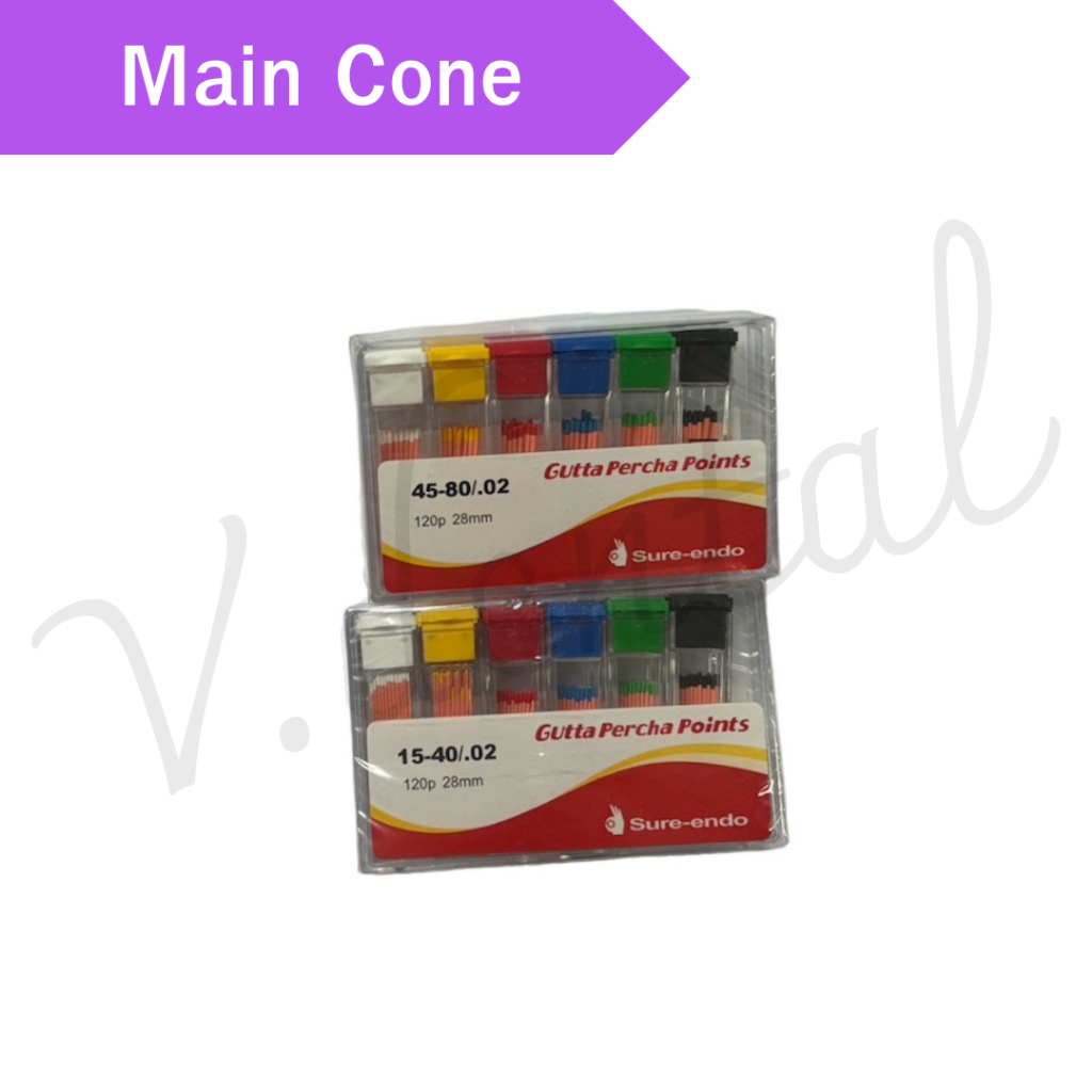 Main Cone Sure endo พร้อมส่ง !! | Shopee Thailand