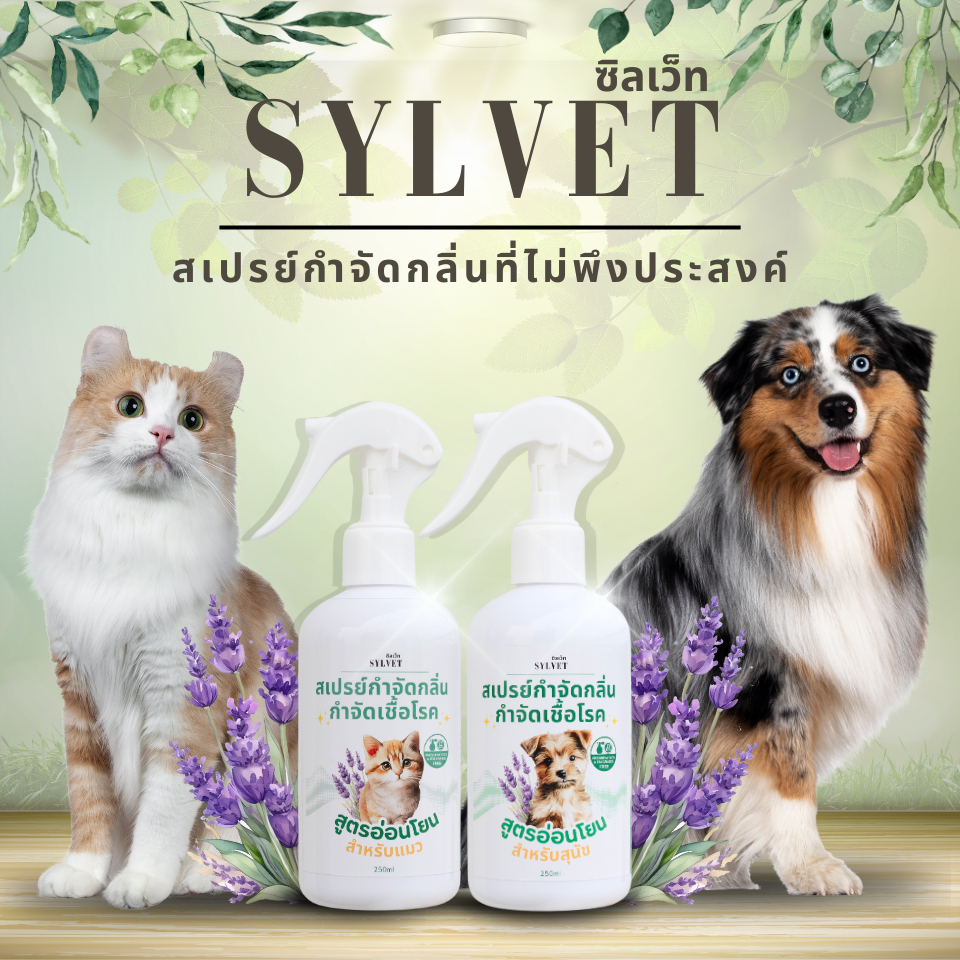 SYLVET สเปรย์กำจัดกลิ่นทรายแมว ฉี่แมว น้องแมว น้องหมา กำจัดเชื้อโรค สเปรย์ดับกลิ่น ทรายแมว 250ml ...