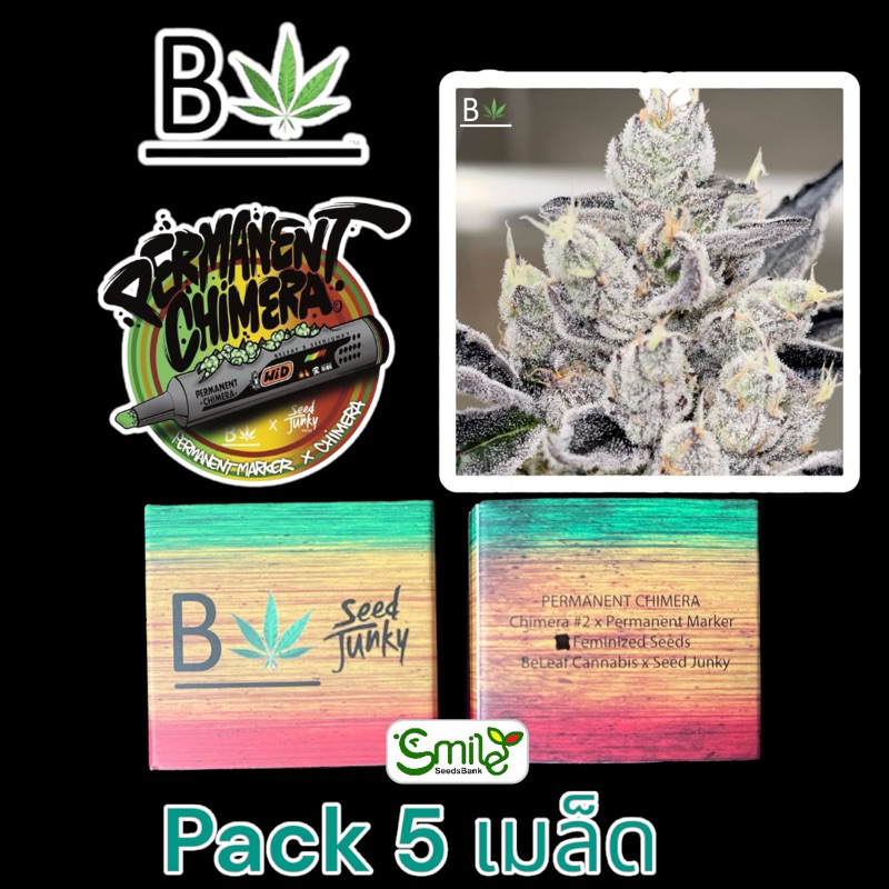 เมล็ดกัญชา Permanent Chimera (Fem) - Beleaf Seeds Collab Seed Junky ...