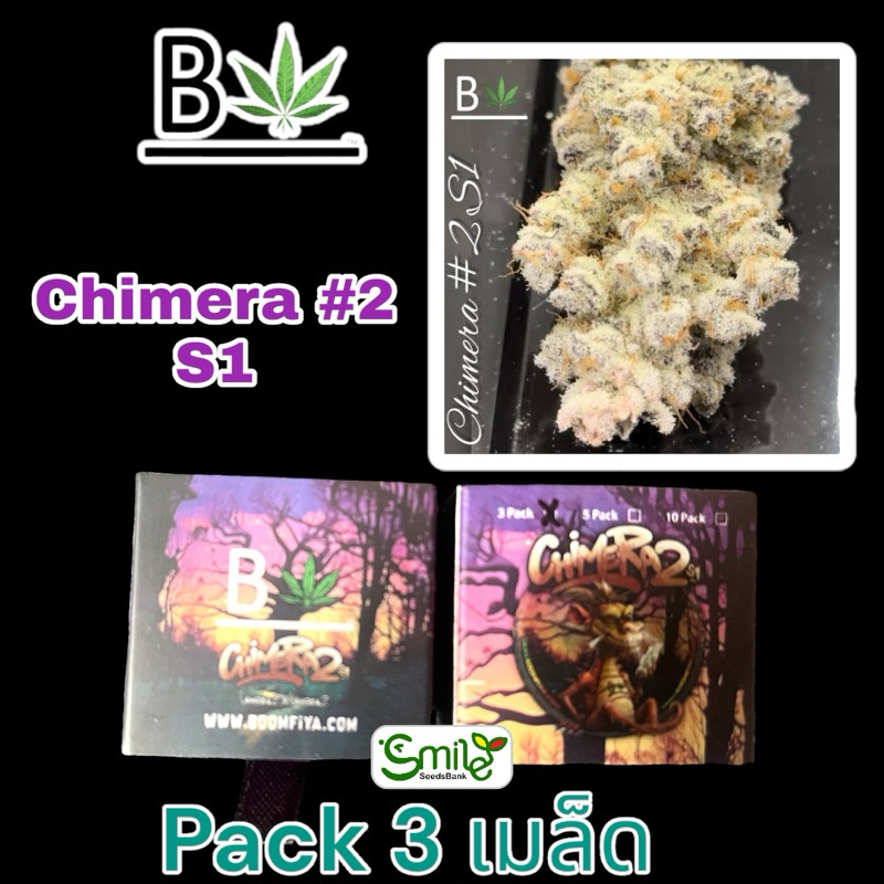 เมล็ดกัญชา Chimera #2 S1 (Fem) - Beleaf Seeds | Shopee Thailand