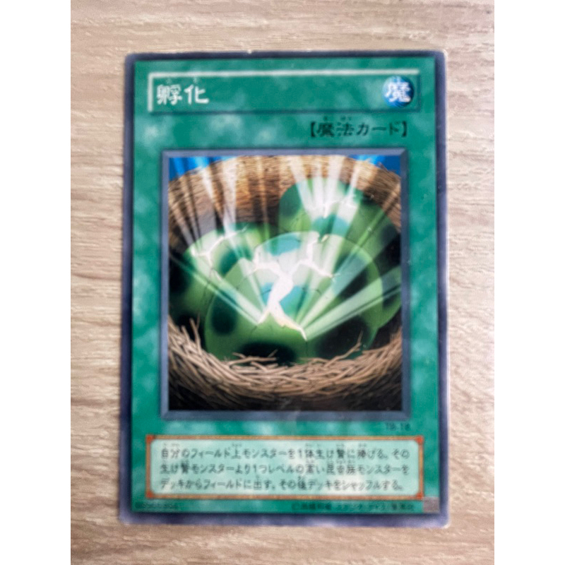 Insect Imitation การเลียนแบบของแมลง รหัส TB-18 ตำหนิมุมขอบไม่คม ...